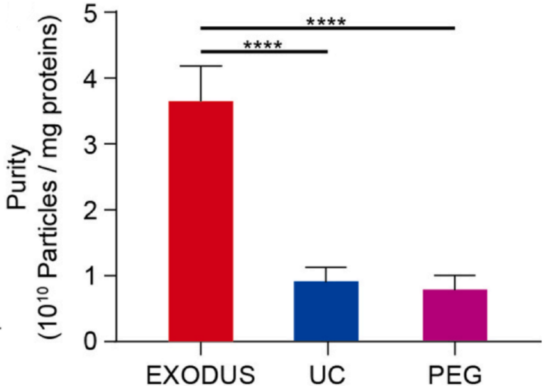 Extracellular Vesicles - Exodus Bio