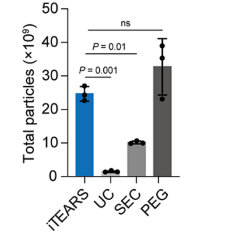 Extracellular Vesicles - Exodus Bio
