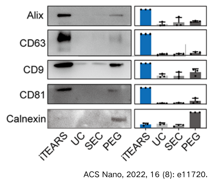 Extracellular Vesicles - Exodus Bio